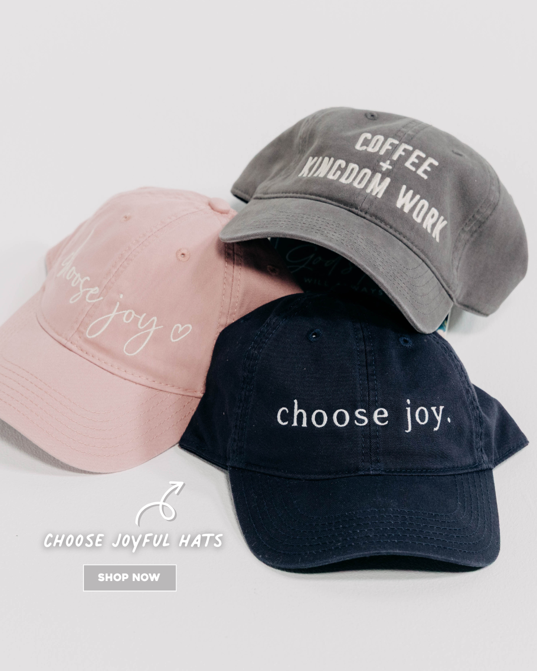The Joy Store